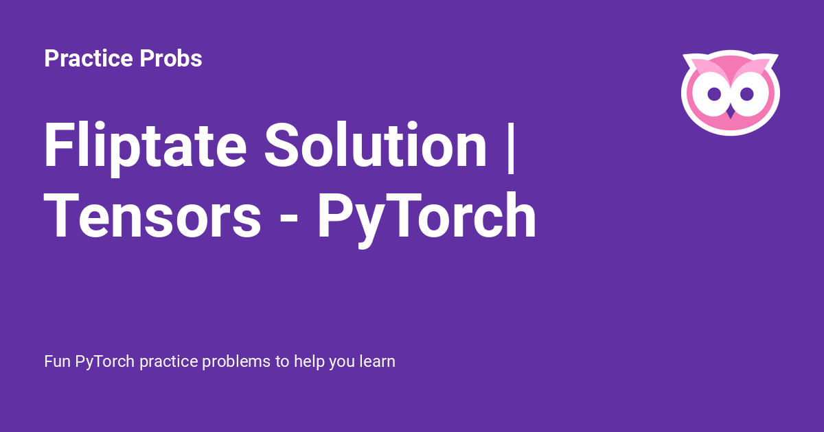 Fliptate Solution | Tensors - PyTorch - Practice Probs